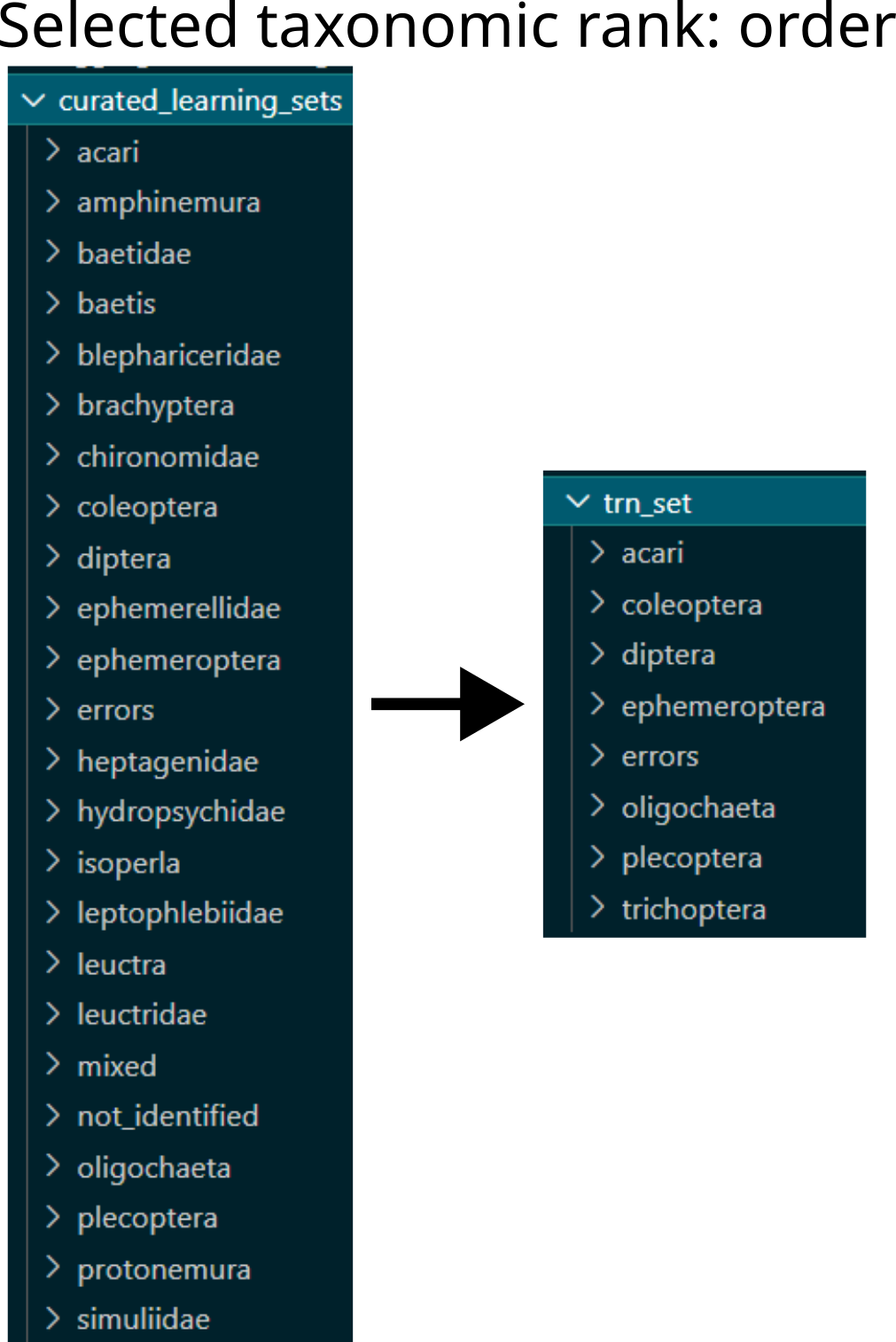Processing scripts — mzbsuite 0.0.1 alpha documentation